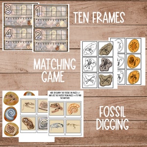 Fossil Bundle, Dinosaur Preschool Worksheet, Preschool Printable ...