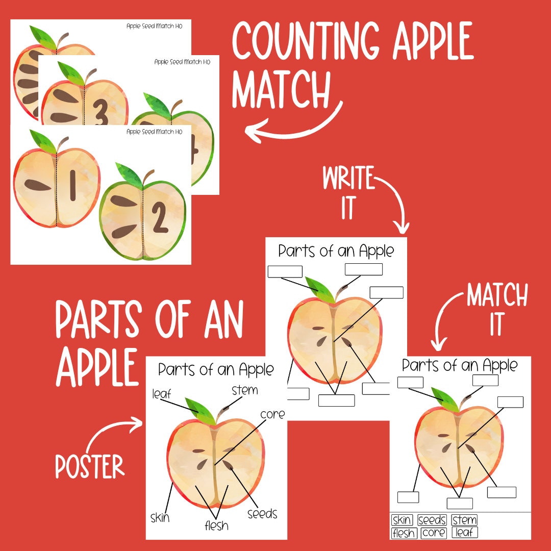 Apple Unit Study Preschool Curriculum Preschool Printable - Etsy