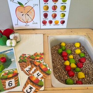 Apple Unit Study, Preschool Curriculum, Preschool Printable, Preschool ...