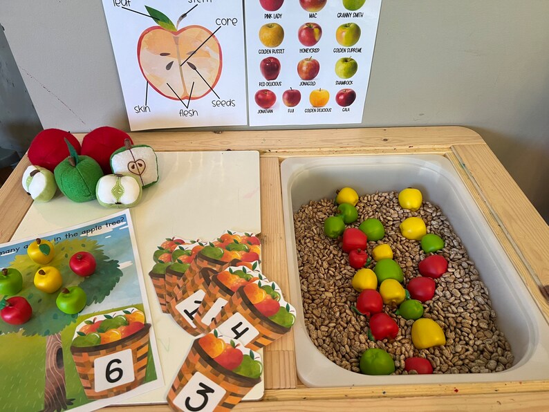 Apple Unit Study, Preschool Curriculum, Preschool Printable, Preschool ...
