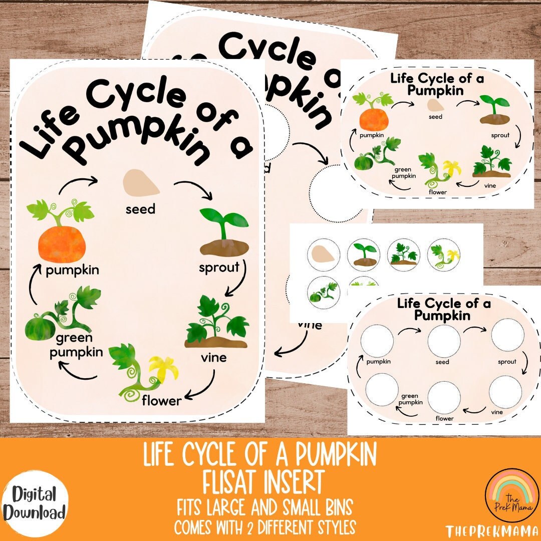 Pumpkin Life Cycle Flisat Insert, Fall Flisat Insert, Flisat Insert ...