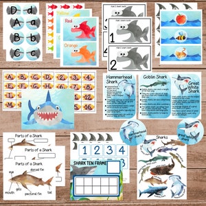 Shark Unit Study, Preschool Curriculum, Preschool Printable, Preschool ...