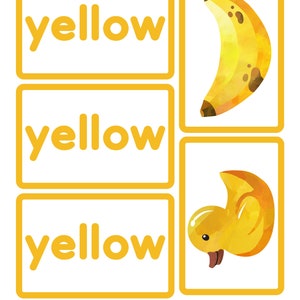 Learn Your Colors Poster and Cards, Preschool Printable, Preschool ...
