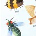 Pollinators Poster Preschool Curriculum Preschool Printable - Etsy