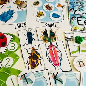 Insect Unit Study Preschool Curriculum Preschool Printable - Etsy