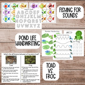 Pond Life Unit Study, Preschool Curriculum, Preschool Printable ...