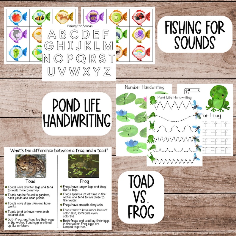 Pond Life Unit Study, Preschool Curriculum, Preschool Printable ...