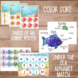 Ocean Animals Unit Study, Homeschool Learning Materials, Educational ...