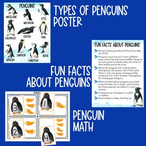 Penguin Unit Study, Homeschool Learning Materials, Educational ...