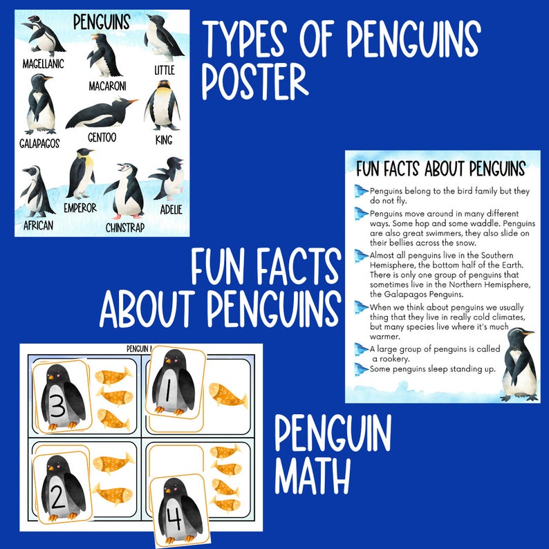 Penguin Unit Study Homeschool Learning Materials Educational - Etsy
