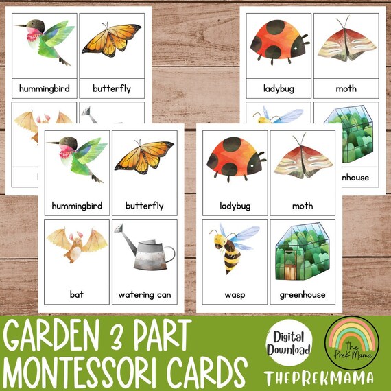 Montessori 3 Part Garden Cards Preschool Printable - Etsy