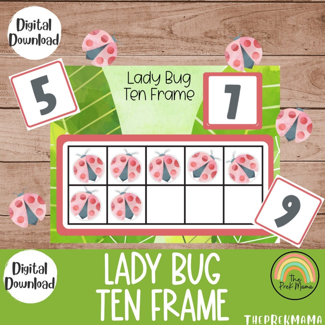 Lady Bug Ten Frame Numbers 1-10 Count and Match Montessori - Etsy