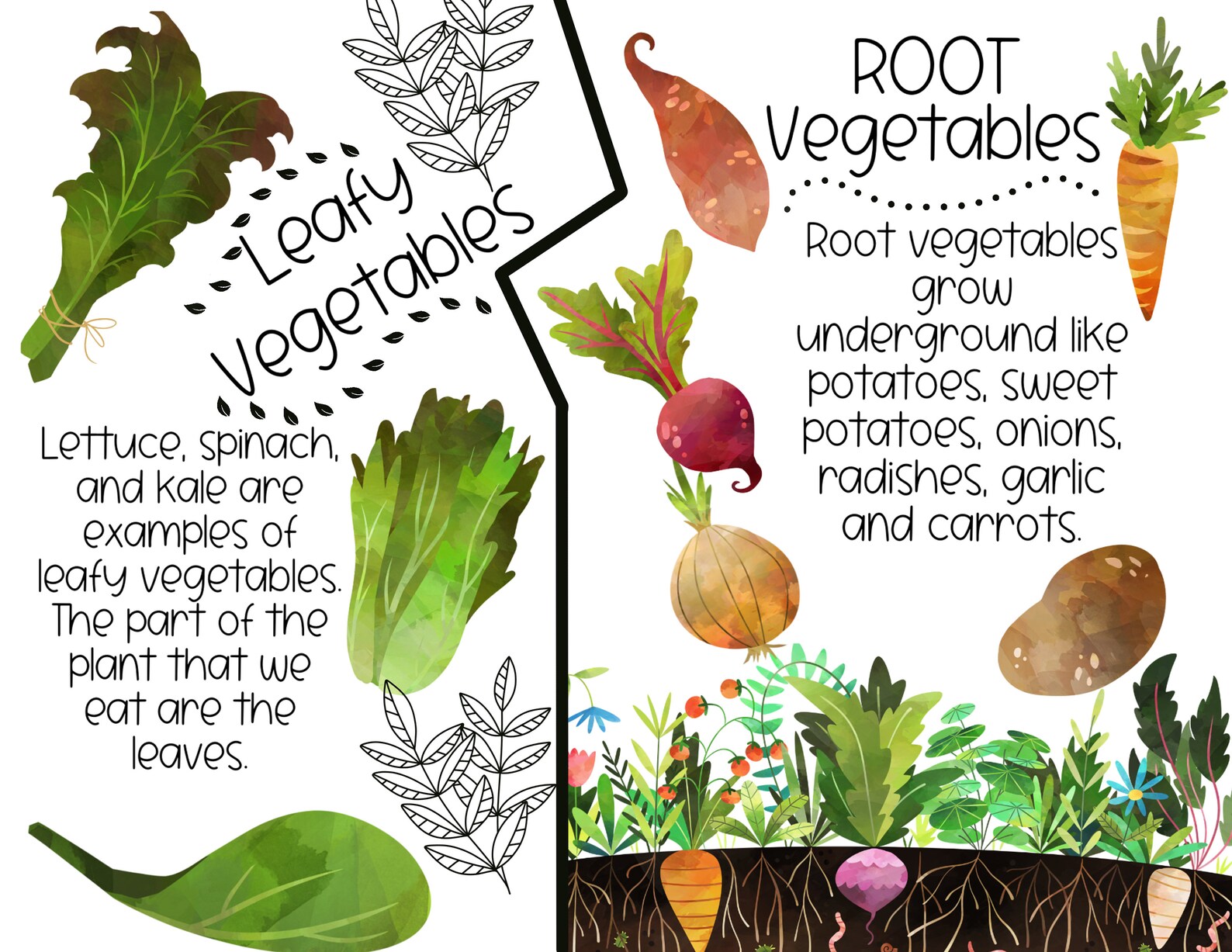 All About Fruits and Vegetables Preschool Curriculum - Etsy