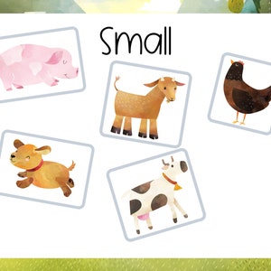 FARM Sorting by Size Big & Small, Montessori Printable, Preschool ...
