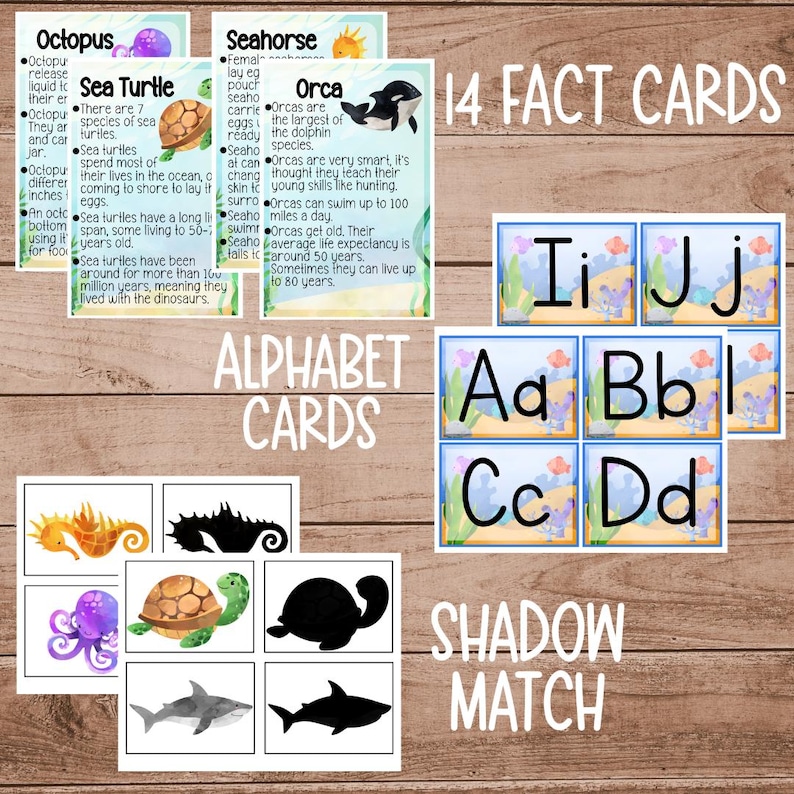 Ocean Animals Unit Study, Homeschool Learning Materials, Educational ...