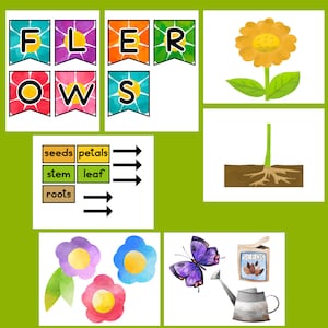 Flower Peg Board, Flower Posters, Flower Preschool, Flower Flisat Table ...