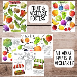 Fruit and Vegetable Unit Study, Homeschool Learning Materials ...