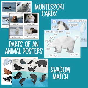 Arctic Animals Unit Study, Homeschool Learning Materials, Educational ...