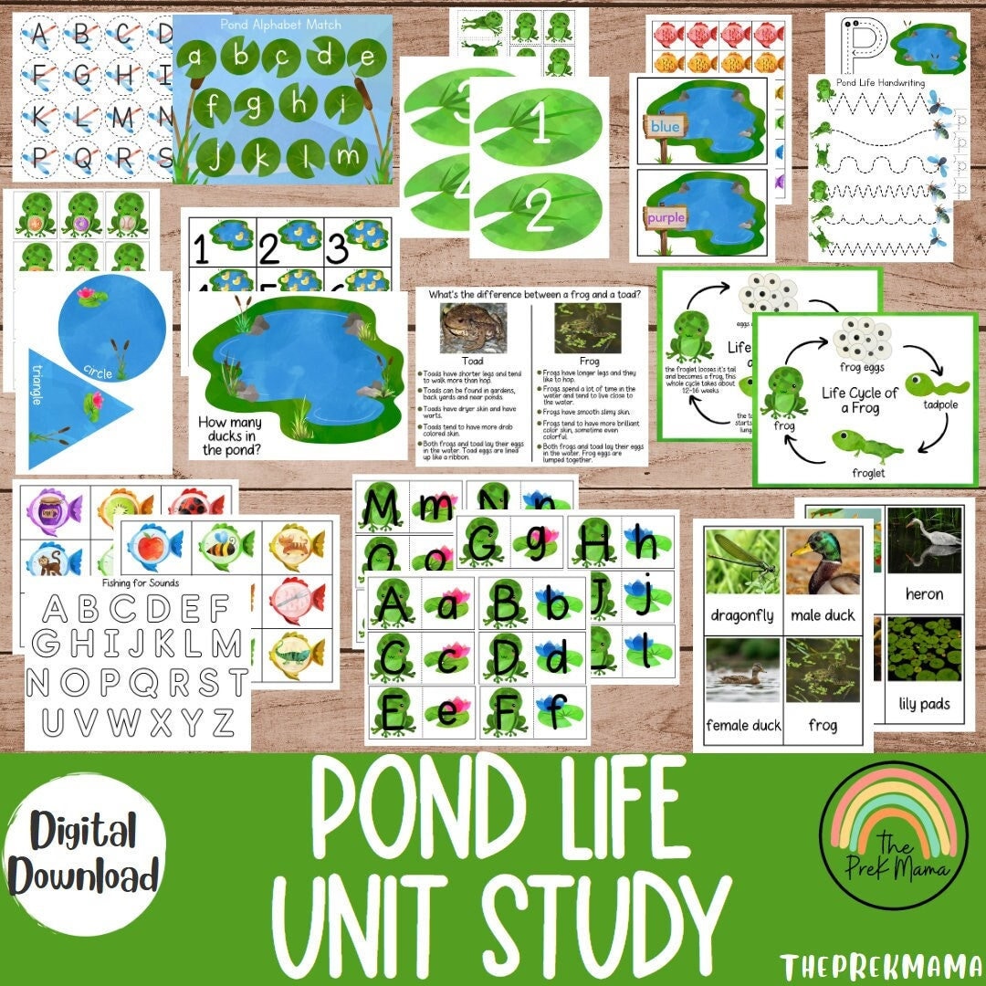 Pond Life Unit Study, Preschool Curriculum, Preschool Printable ...