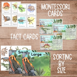 Dinosaur Unit Study, Preschool Curriculum, Preschool Printable ...