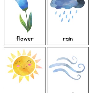 Montessori 3 Part Garden Cards Preschool Printable - Etsy