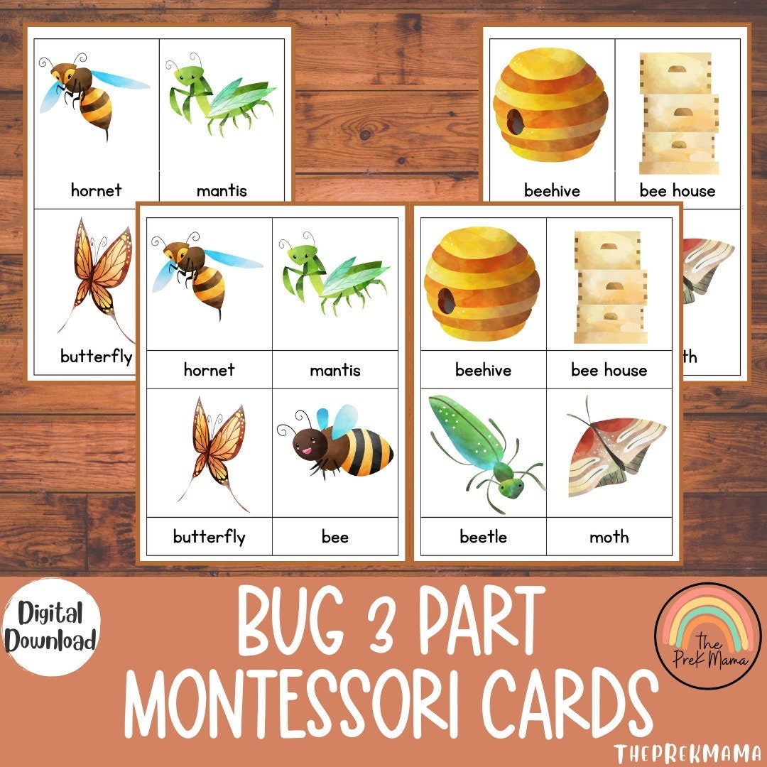 Montessori 3 Part Bug Cards, Preschool Printable, Flashcard, Preschool ...