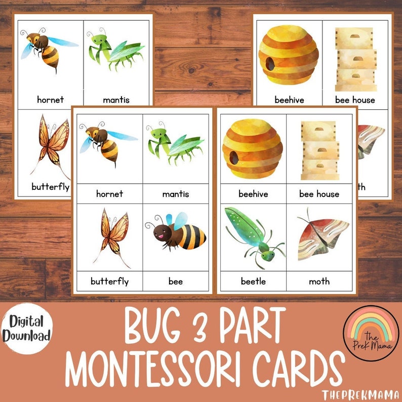 Montessori 3 Part Bug Cards Preschool Printable Flashcard - Etsy