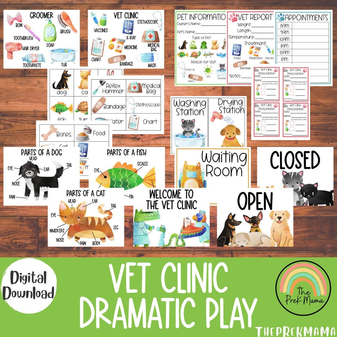 Vet Clinic Dramatic Play, Pretend Play, Classroom Dramatic Play, Home ...