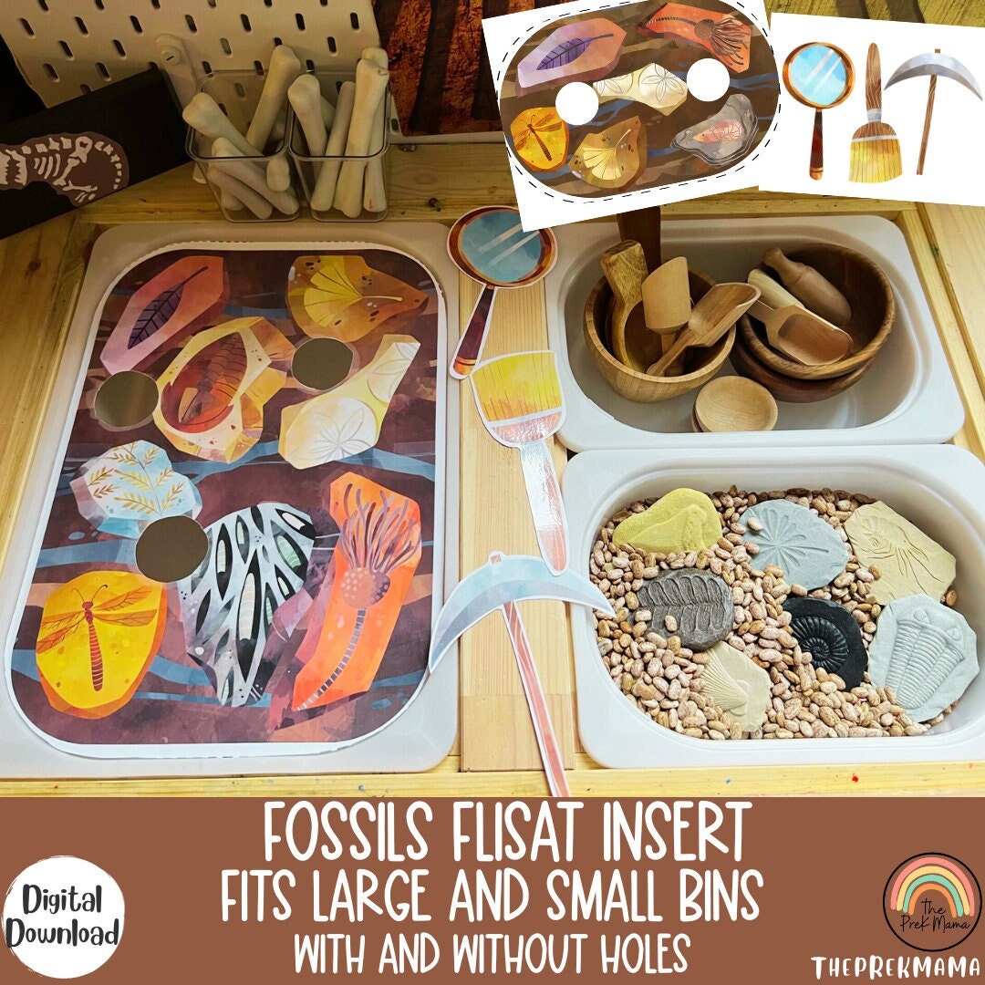 Fossils Flisat Inserts, Flisat Table, Flisat Insert Printable, Flisat ...