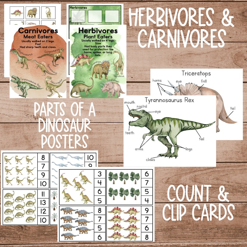 Dinosaur Unit Study, Preschool Curriculum, Preschool Printable ...