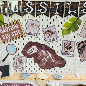 Fossils Peg Board, Fossils Posters, Fossils Preschool, Fossils Flisat ...