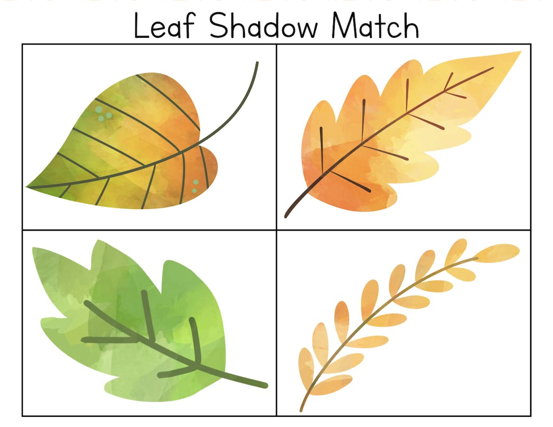 Leaf Shadow Match Fall Activity for Kids Preschool - Etsy