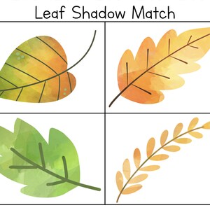 Leaf Shadow Match, Fall Activity for Kids, Preschool Printable ...