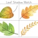 Leaf Shadow Match, Fall Activity for Kids, Preschool Printable ...