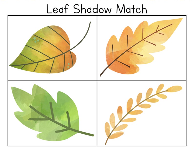 Leaf Shadow Match Fall Activity for Kids Preschool - Etsy