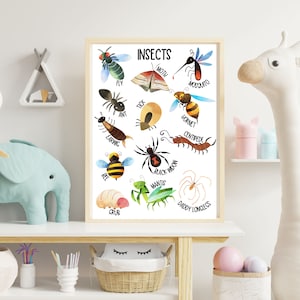 Insect Poster, Educational Poster, Weather Posters, Classroom Décor ...