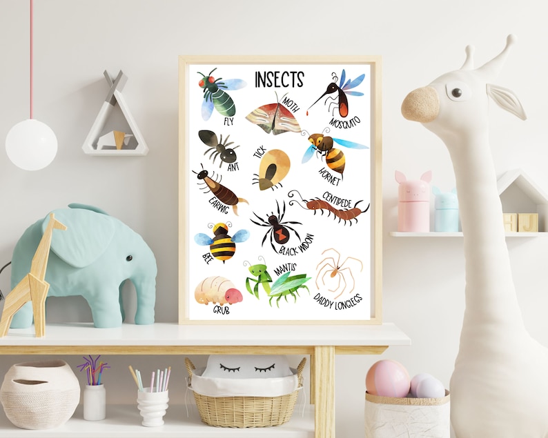 Insect Poster Educational Poster Weather Posters Classroom - Etsy