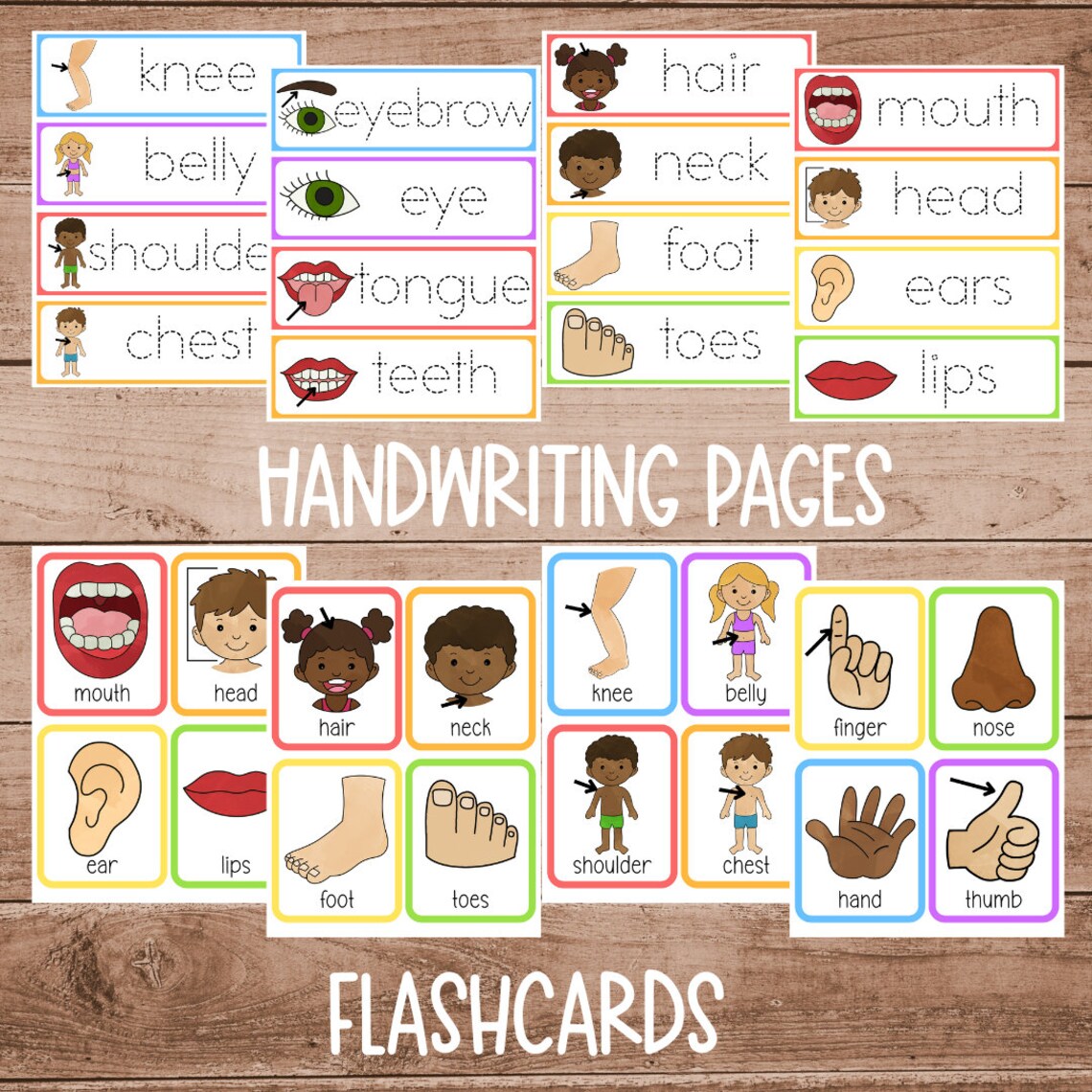 My Body Unit Study, Preschool Curriculum, Preschool Printable ...