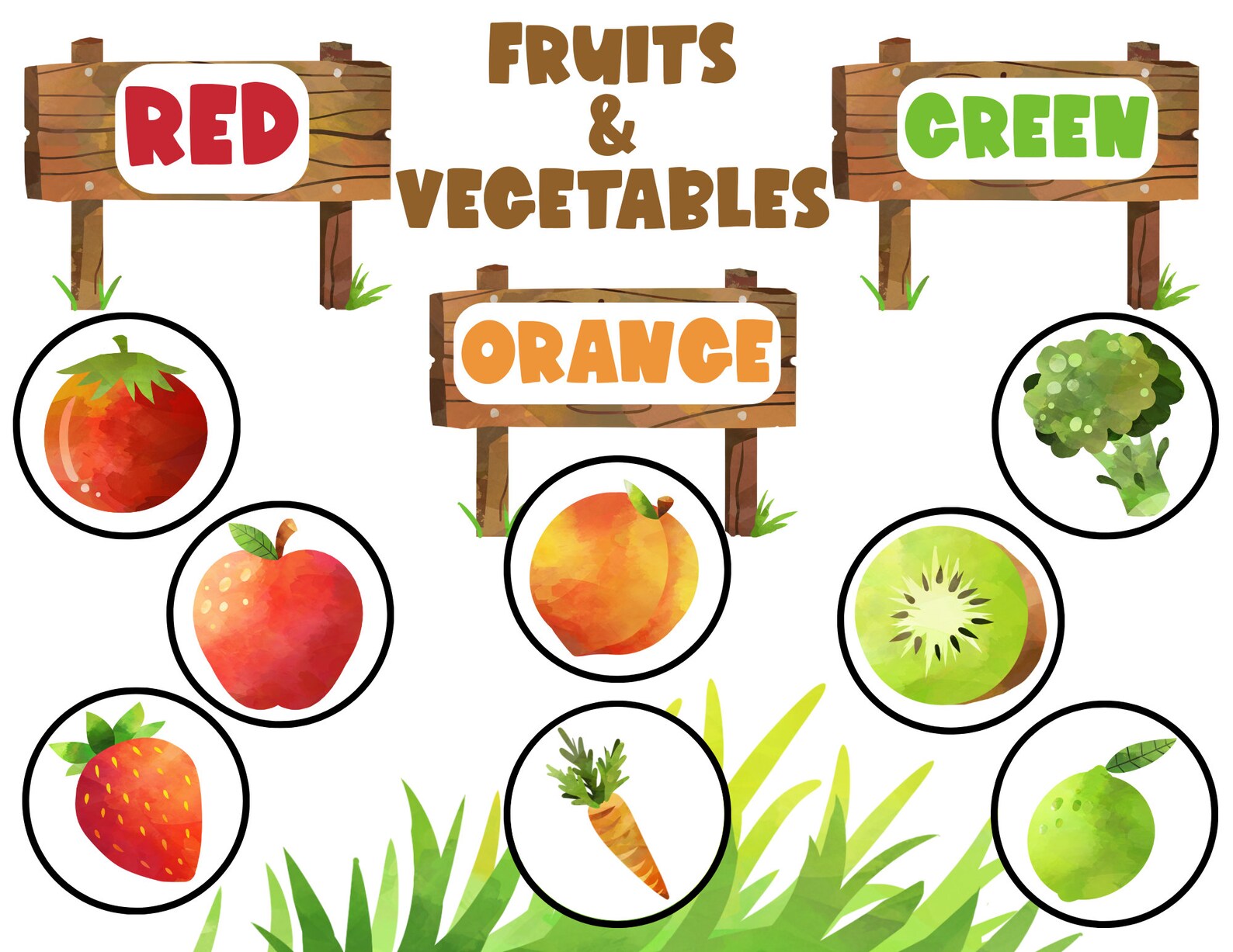 Fruits and Vegetables Color Sort Preschool Worksheet - Etsy