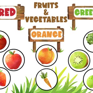 Fruits and Vegetables Color Sort, Preschool Worksheet, Preschool ...