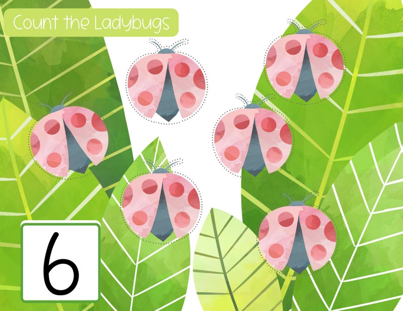 Counting Lady Bugs Activity Preschool Worksheets Preschool - Etsy