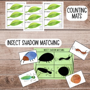 Insect Unit Study, Preschool Curriculum, Preschool Printable, Preschool ...