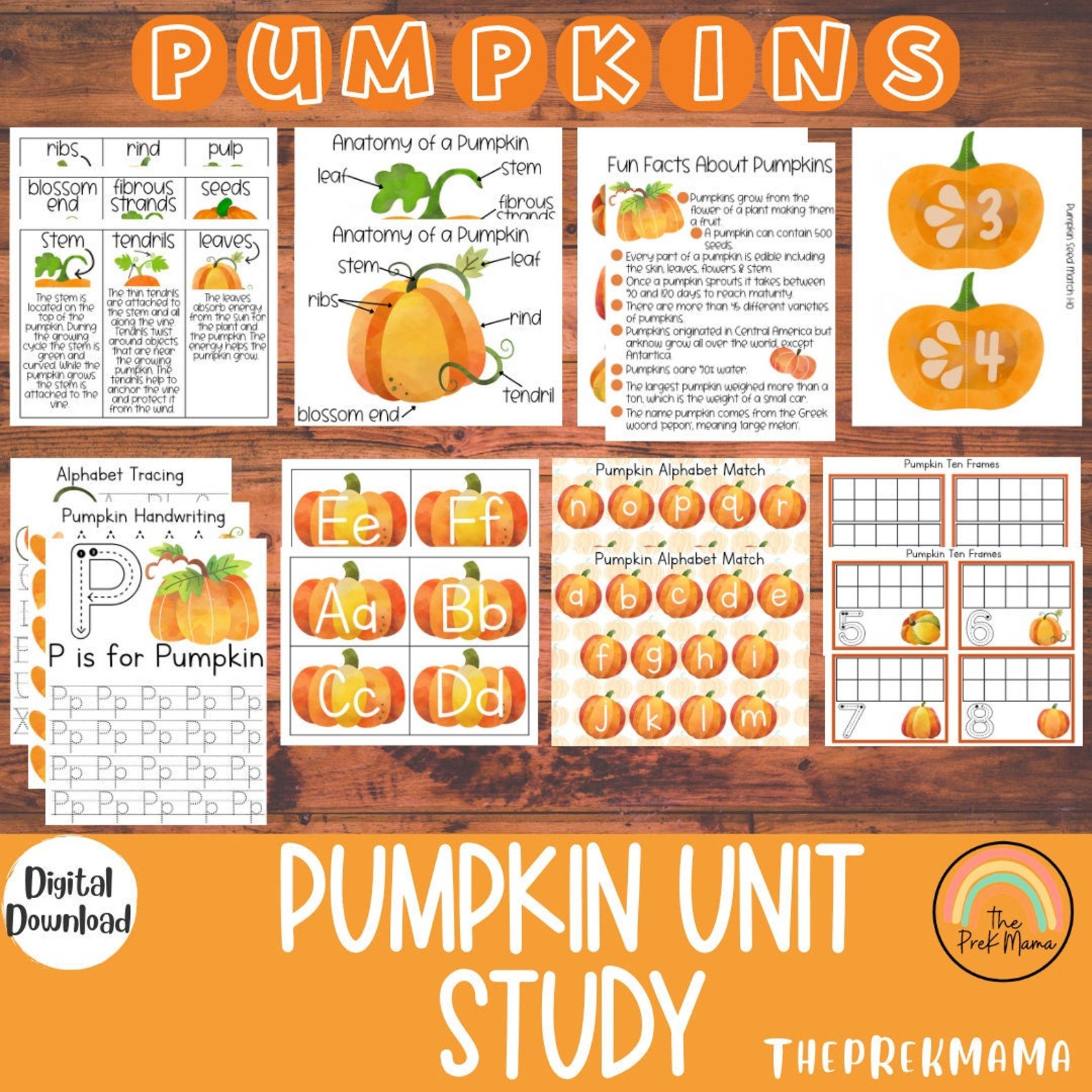Pumpkin Unit Study Homeschool Learning Materials Educational Activities ...