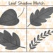 Leaf Shadow Match, Fall Activity for Kids, Preschool Printable ...