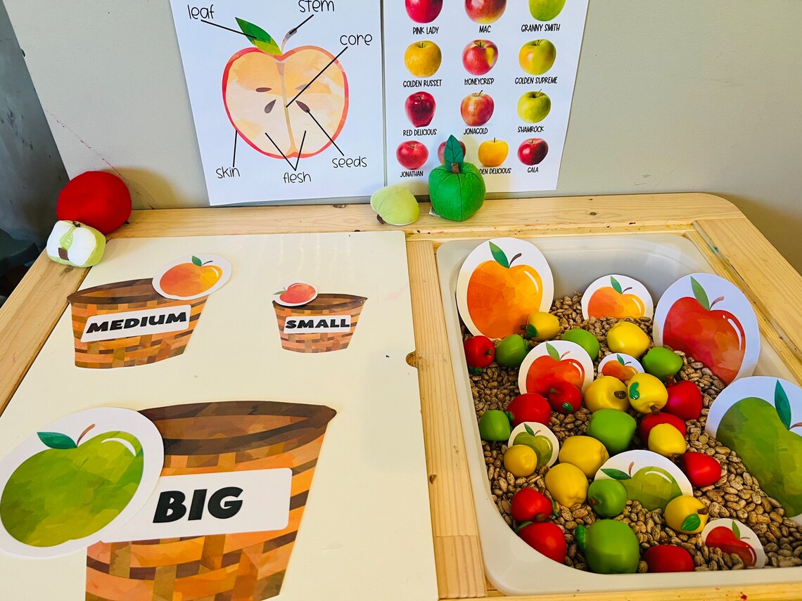 Apple Unit Study Preschool Curriculum Preschool Printable - Etsy