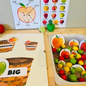 Apple Unit Study, Preschool Curriculum, Preschool Printable, Preschool ...