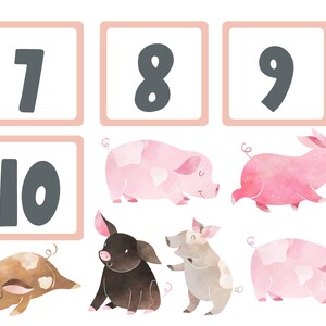 FARM Count the Pigs Rolling in the Mud Montessori Materials - Etsy