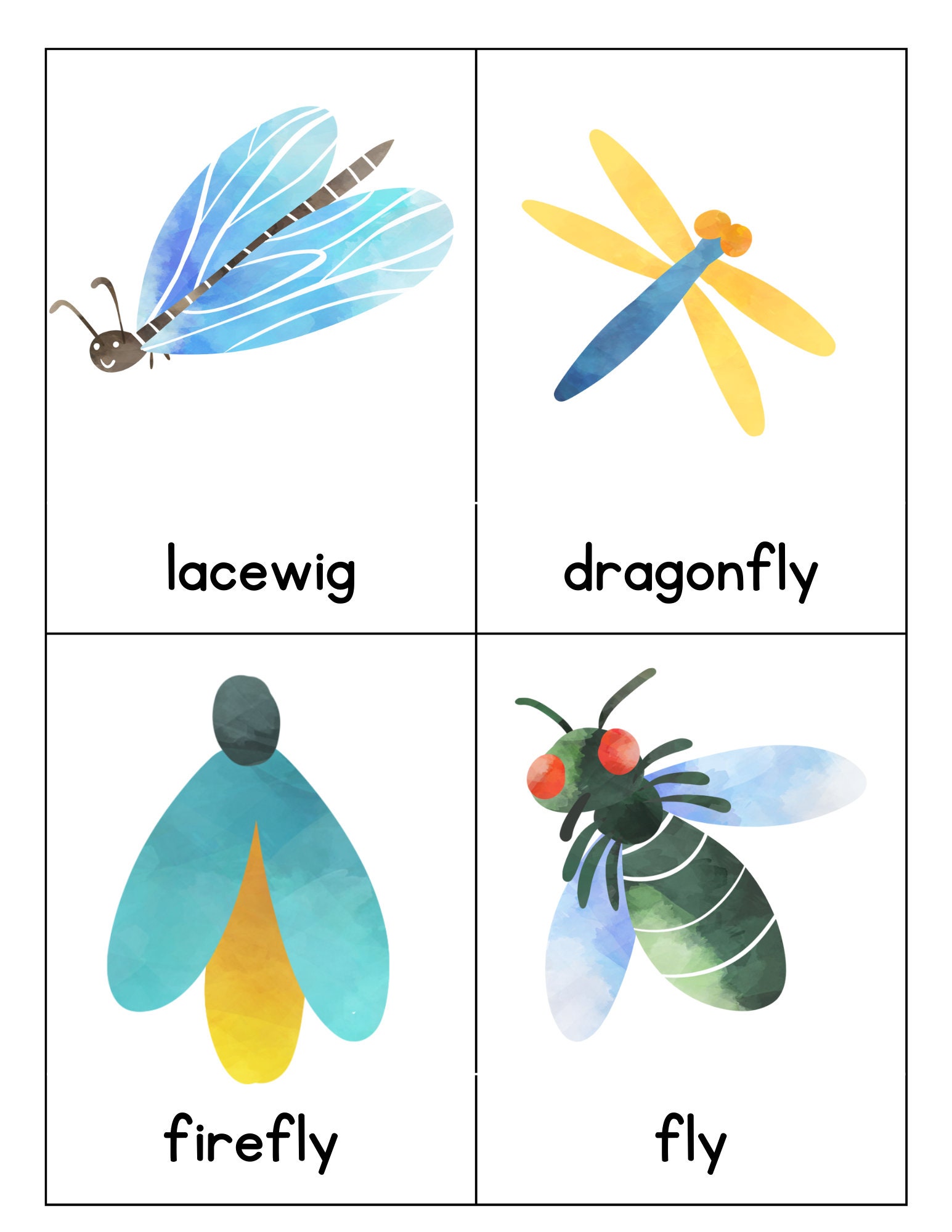 Montessori 3 Part Bug Cards Preschool Printable Flashcard - Etsy