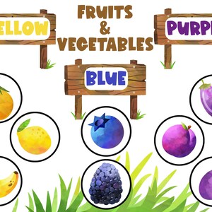 Fruits and Vegetables Color Sort, Preschool Worksheet, Preschool ...