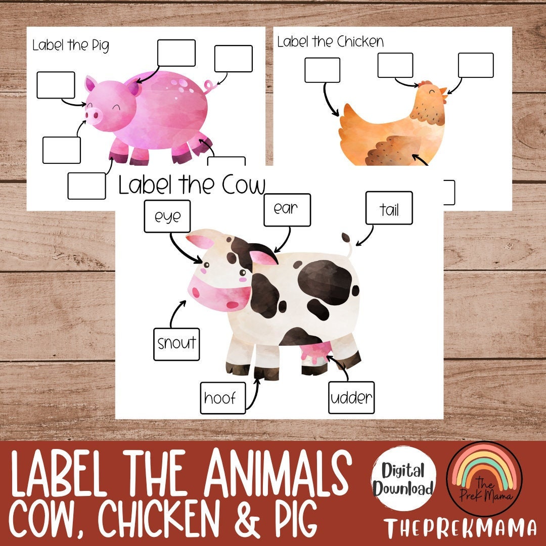 FARM Label the Animals Montessori Materials Preschool - Etsy